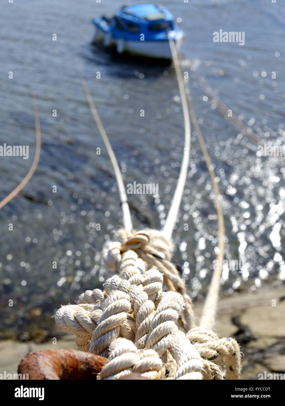 Marine colours hi-res stock photography and images - Alamy