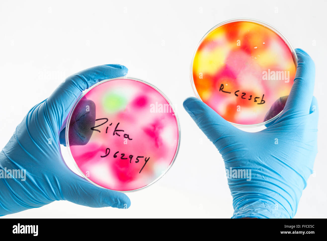 Virology Laboratory High Resolution Stock Photography and Images - Alamy