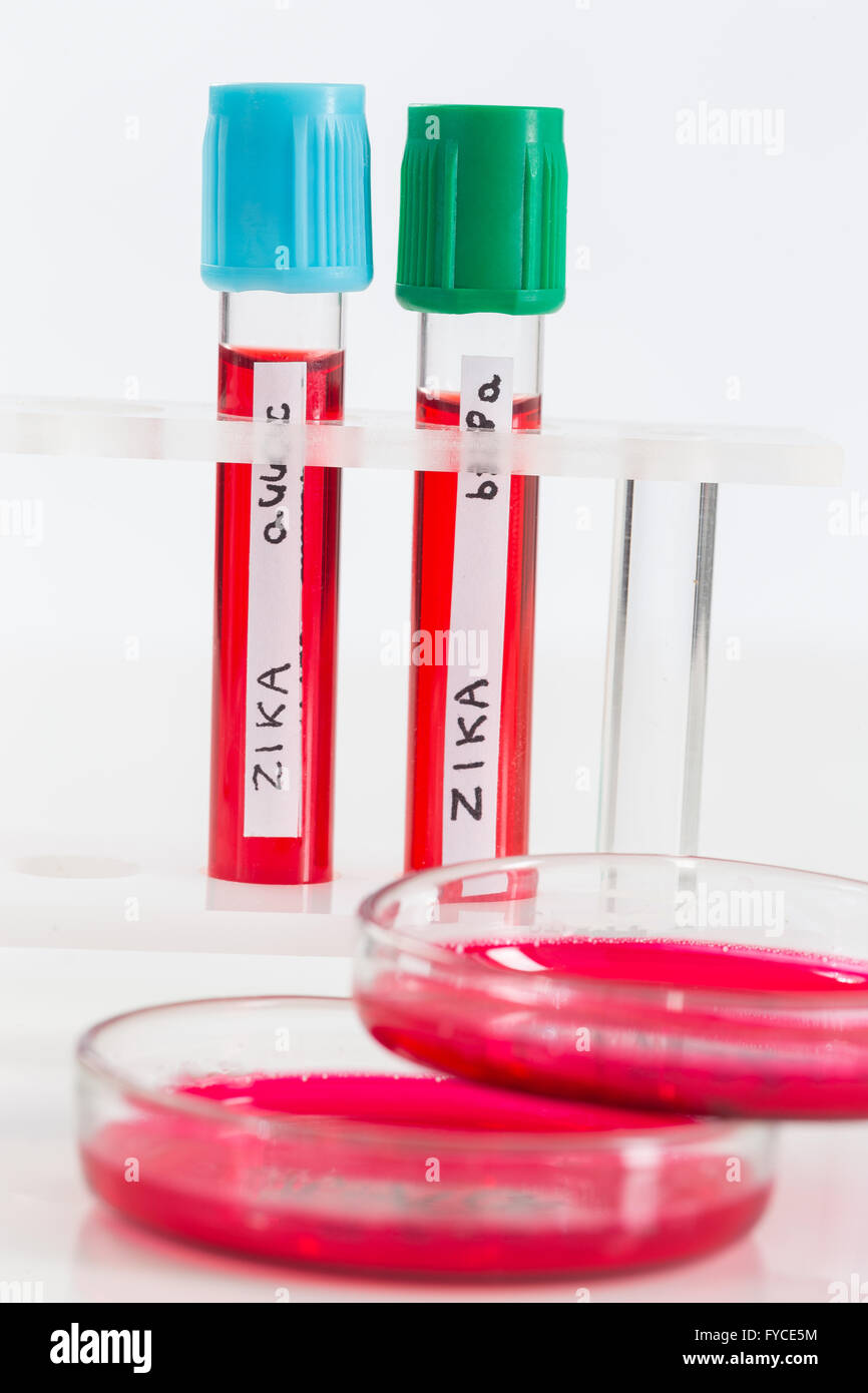 Clinical virology laboratory hi-res stock photography and images - Alamy