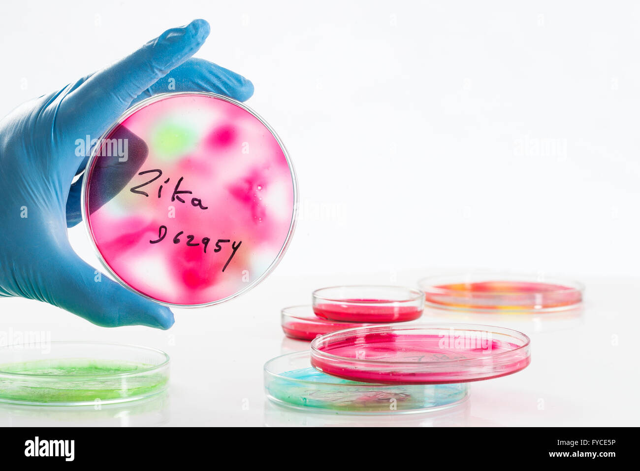 Virology research hi-res stock photography and images - Alamy
