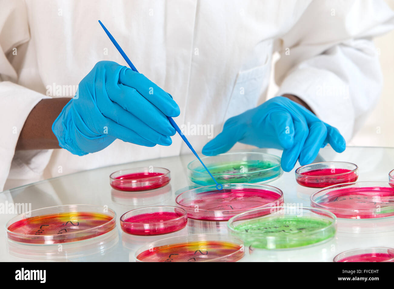 BACTERIOLOGY Stock Photo - Alamy