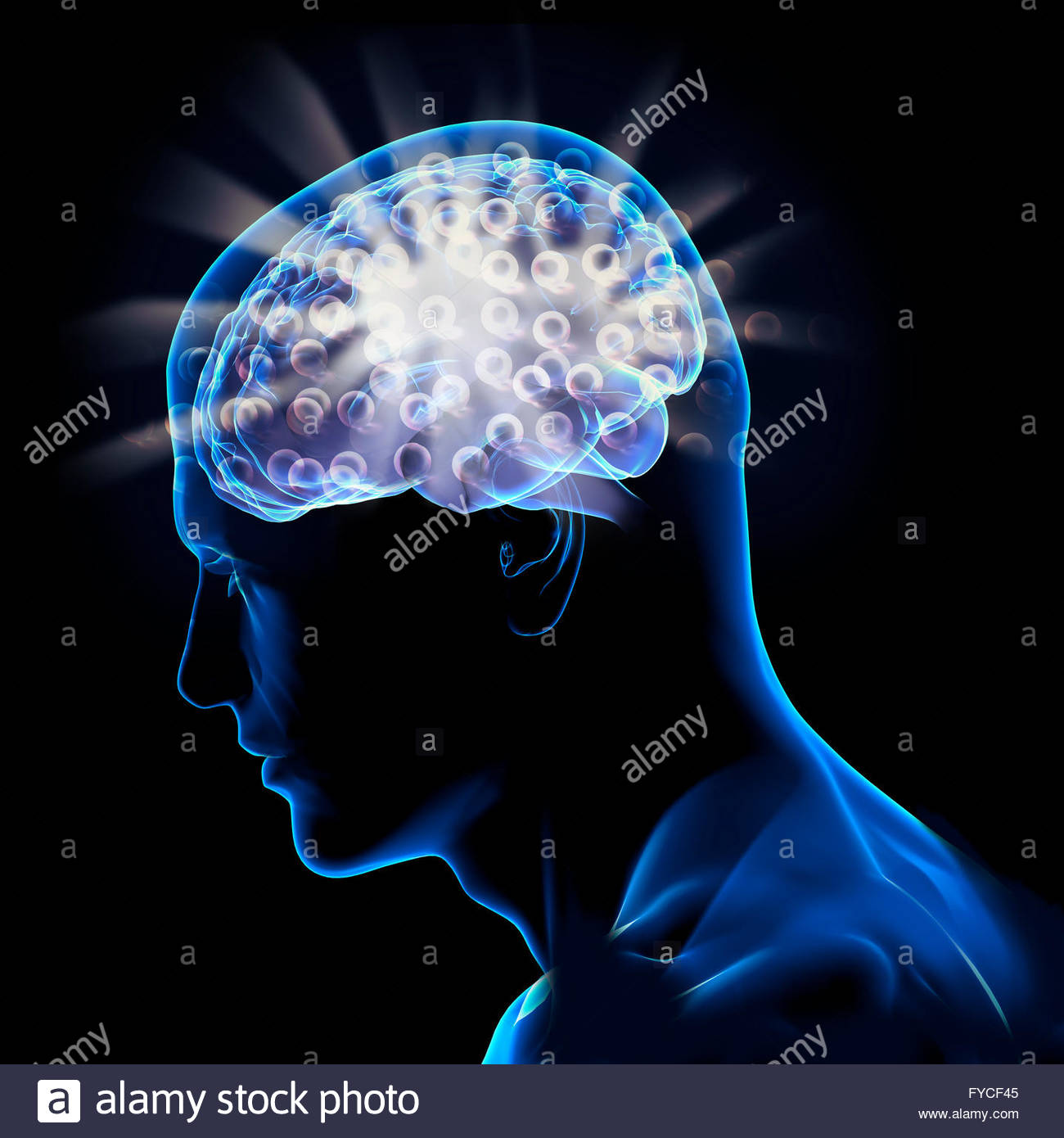 Connecting Brains Stock Photos & Connecting Brains Stock Images - Alamy