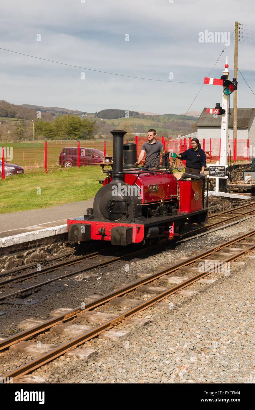 The Bala Lake Railway or Rheilffordd Llyn Tegid (in Welsh) narrow gauge ...