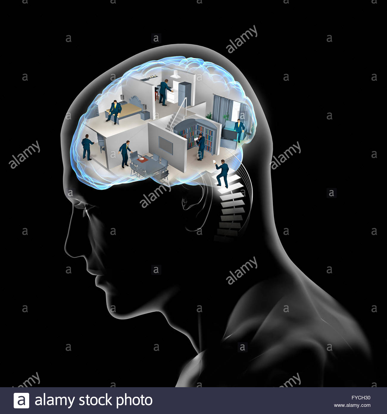 Gustatory System Stock Photos & Gustatory System Stock Images - Alamy