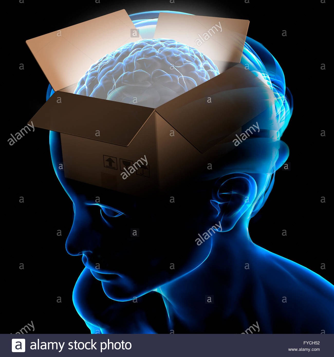 Concept Brain Memory Stock Photos & Concept Brain Memory Stock Images ...