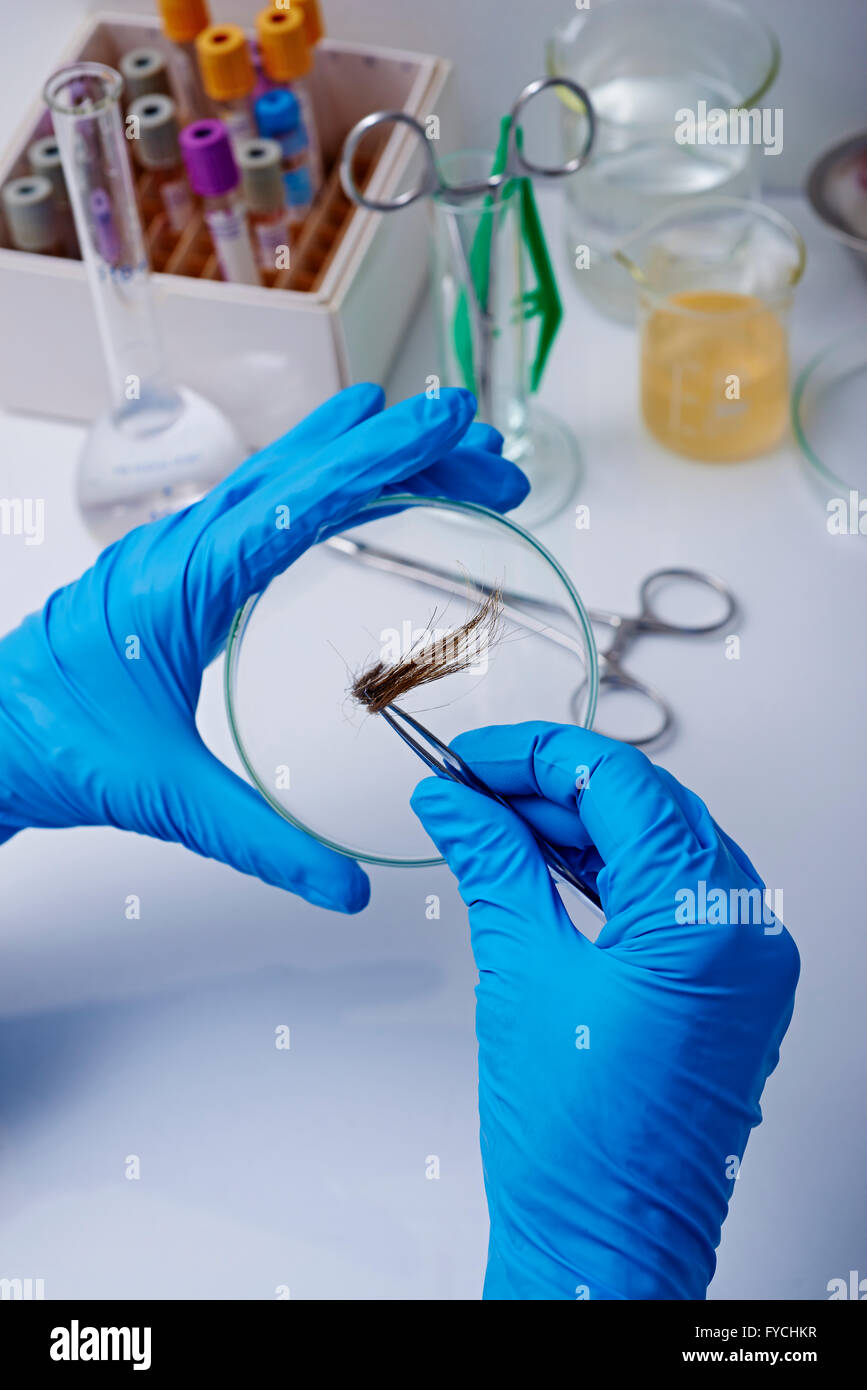 Detailed single specimen hi-res stock photography and images - Alamy