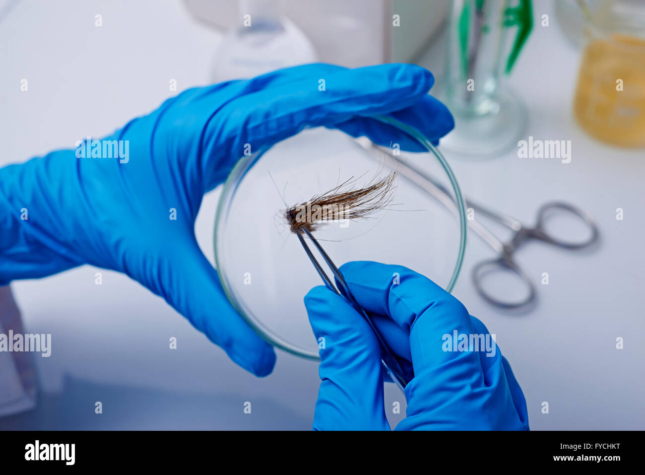 Detailed single specimen hi-res stock photography and images - Alamy