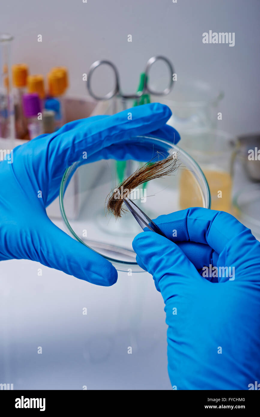 Detailed single specimen hi-res stock photography and images - Alamy