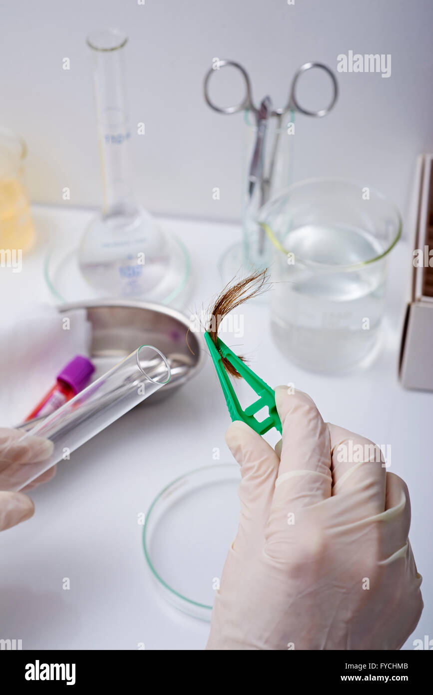 Biological specimen hi-res stock photography and images - Alamy