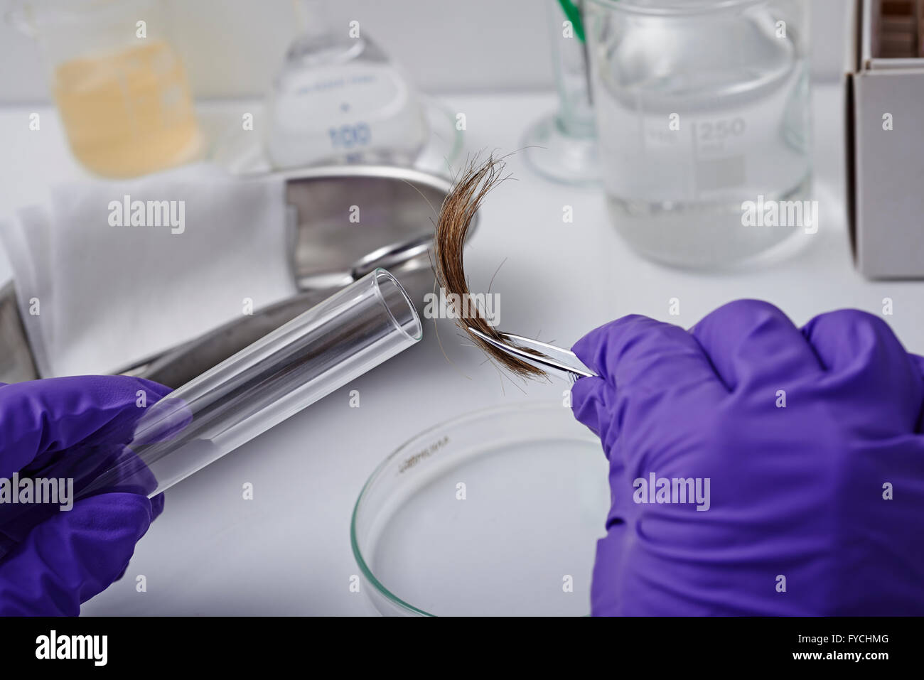 Genetic make up specimens hi-res stock photography and images - Alamy