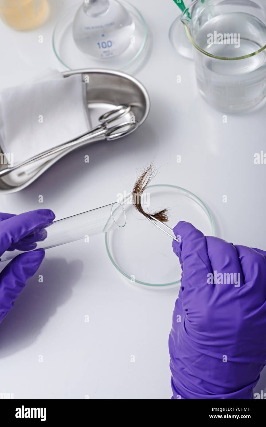 Forensic crime laboratory footprints hi-res stock photography and ...