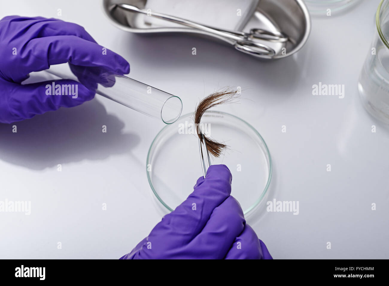 Forensic crime laboratory footprints hi-res stock photography and ...