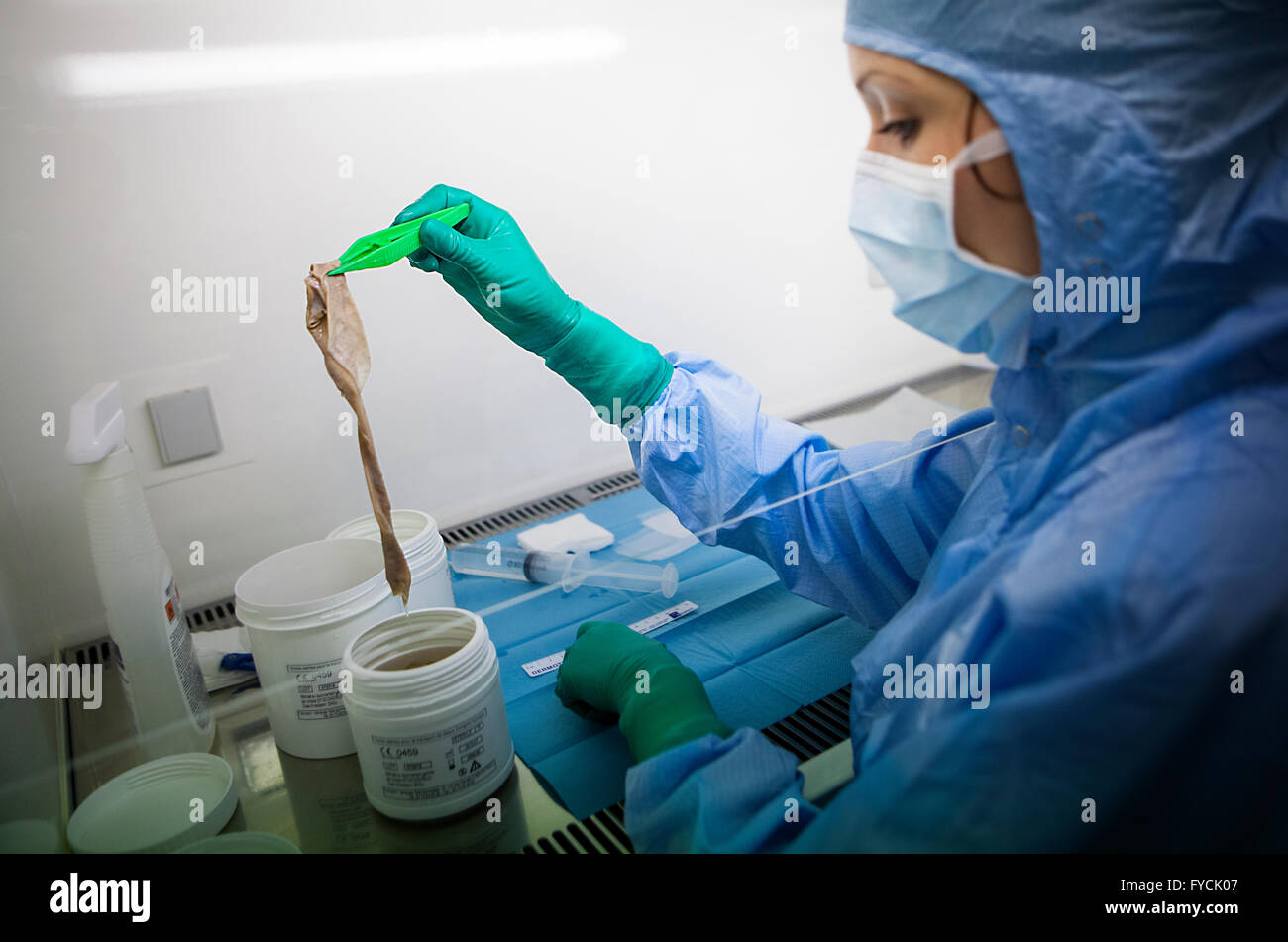 Skin Graft Laboratory High Resolution Stock Photography and Images - Alamy