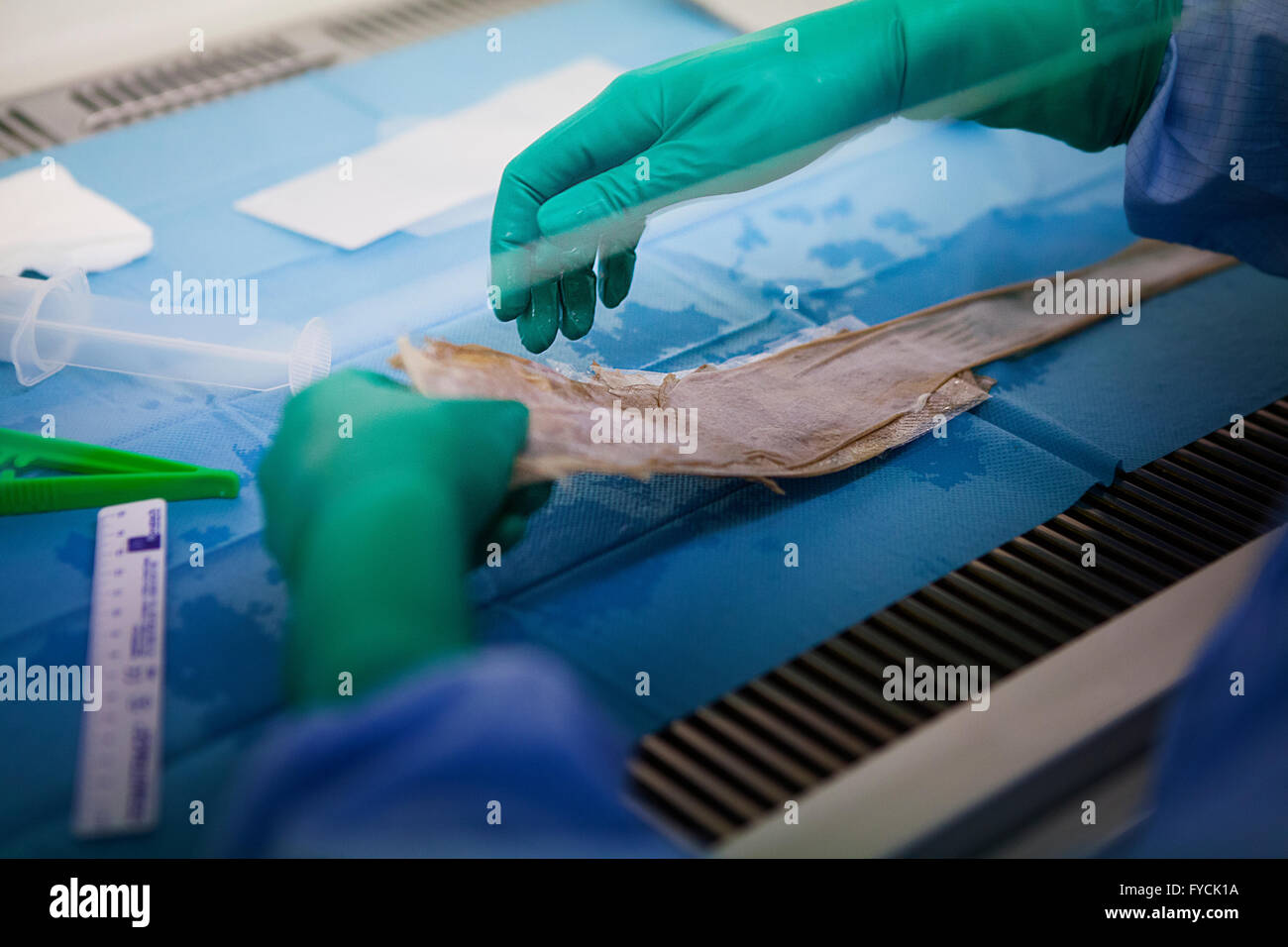 Biobanking hi-res stock photography and images - Alamy