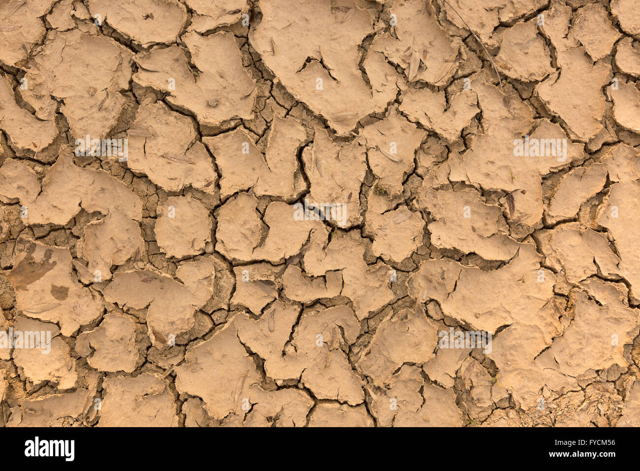 close up of dry ground Stock Photo - Alamy