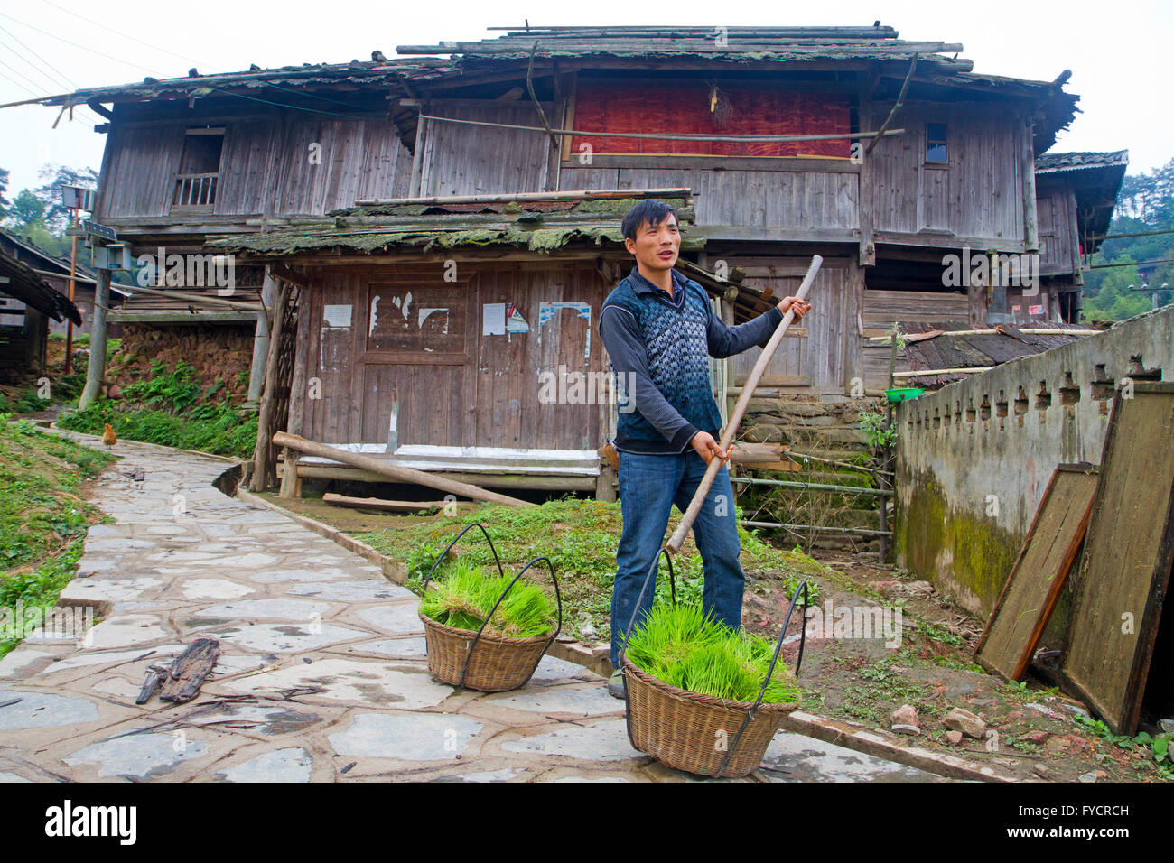 Farmer rice farm china hi-res stock photography and images - Alamy