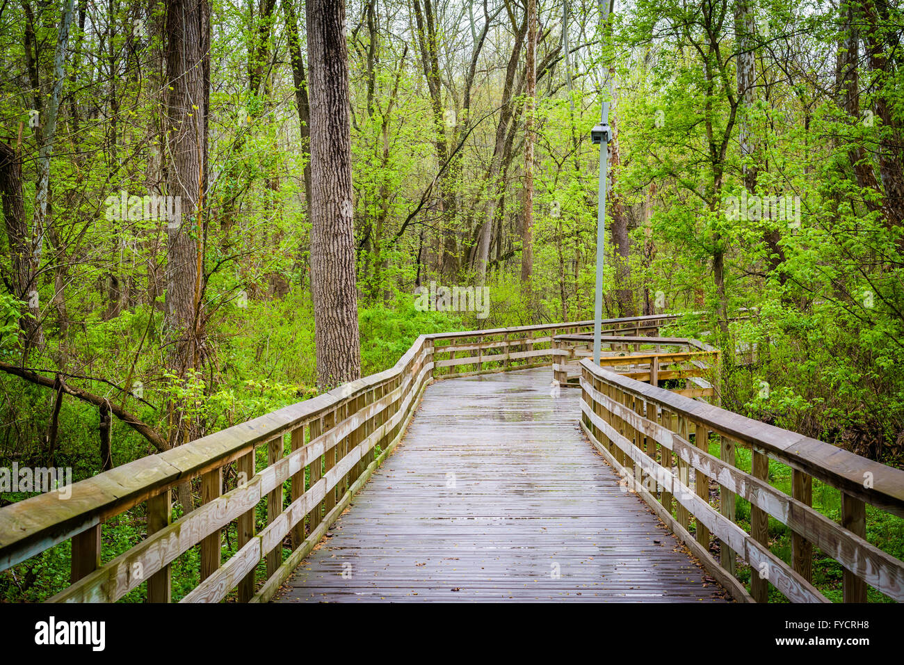 Boardwalk at Lake Roland Park, in Baltimore, Maryland Stock Photo - Alamy