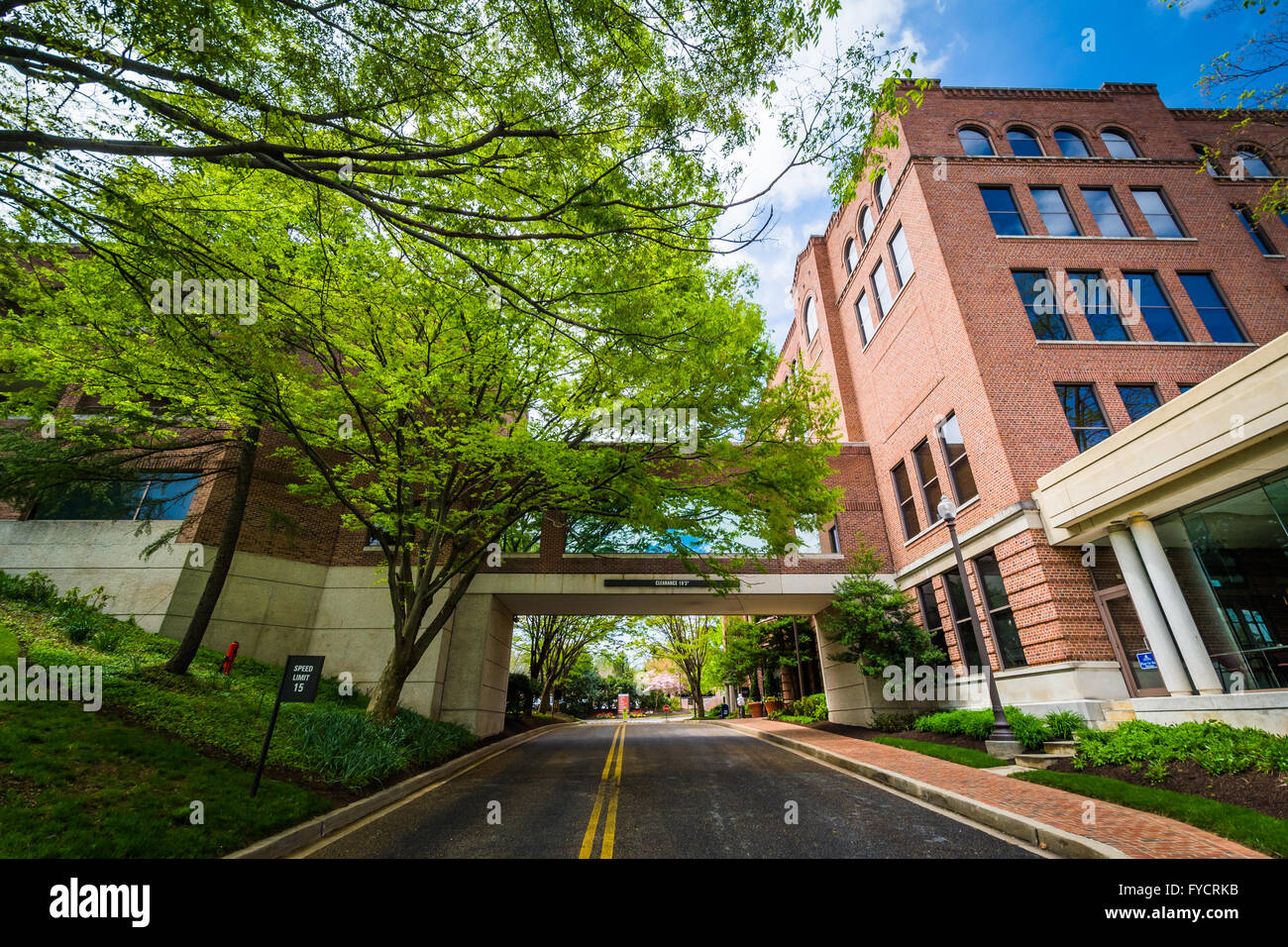 Building at John Hopkins at Mount Washington, in Baltimore, Maryland ...