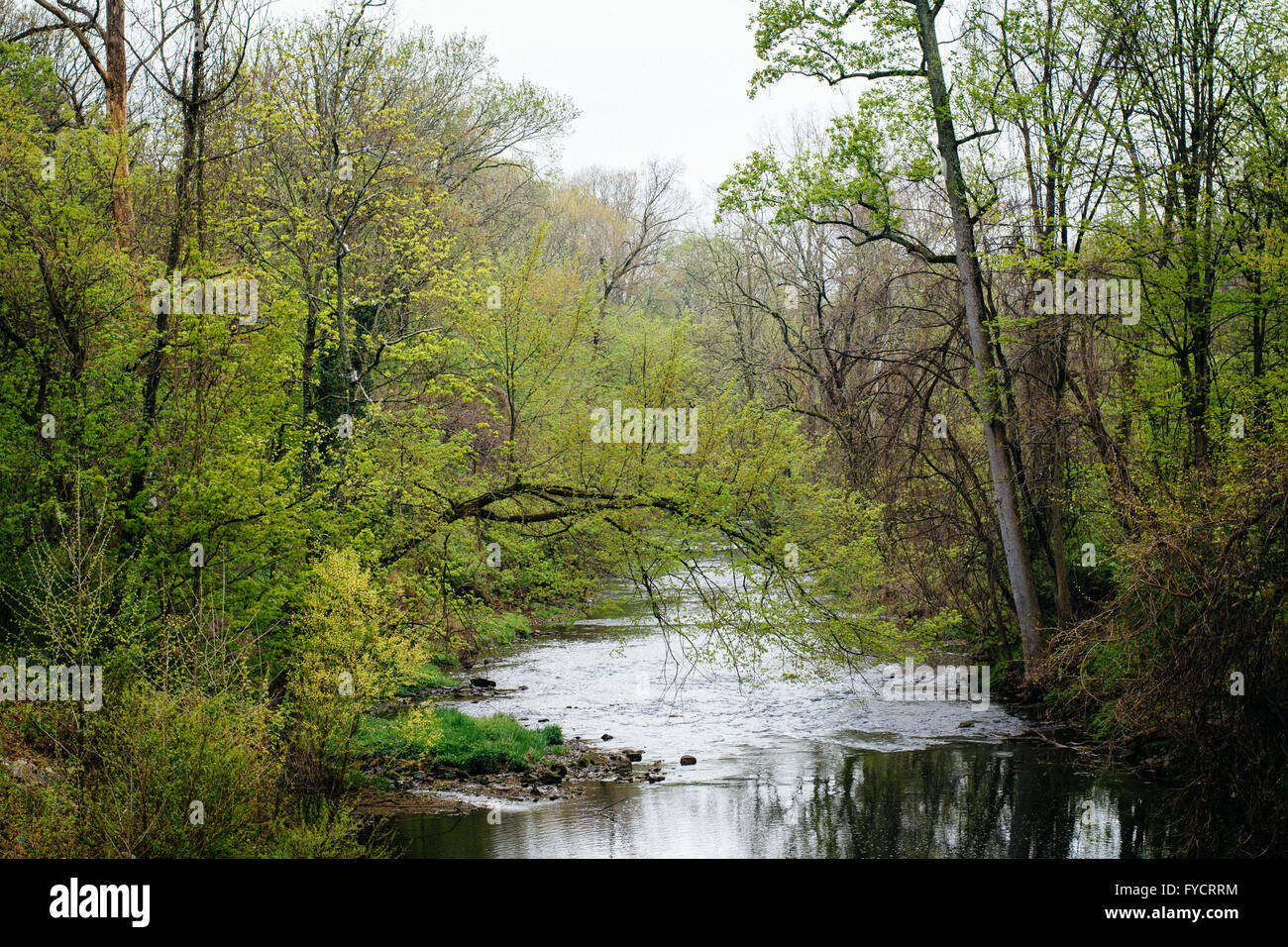 Jones Falls, at Lake Roland Park, in Baltimore, Maryland Stock Photo ...