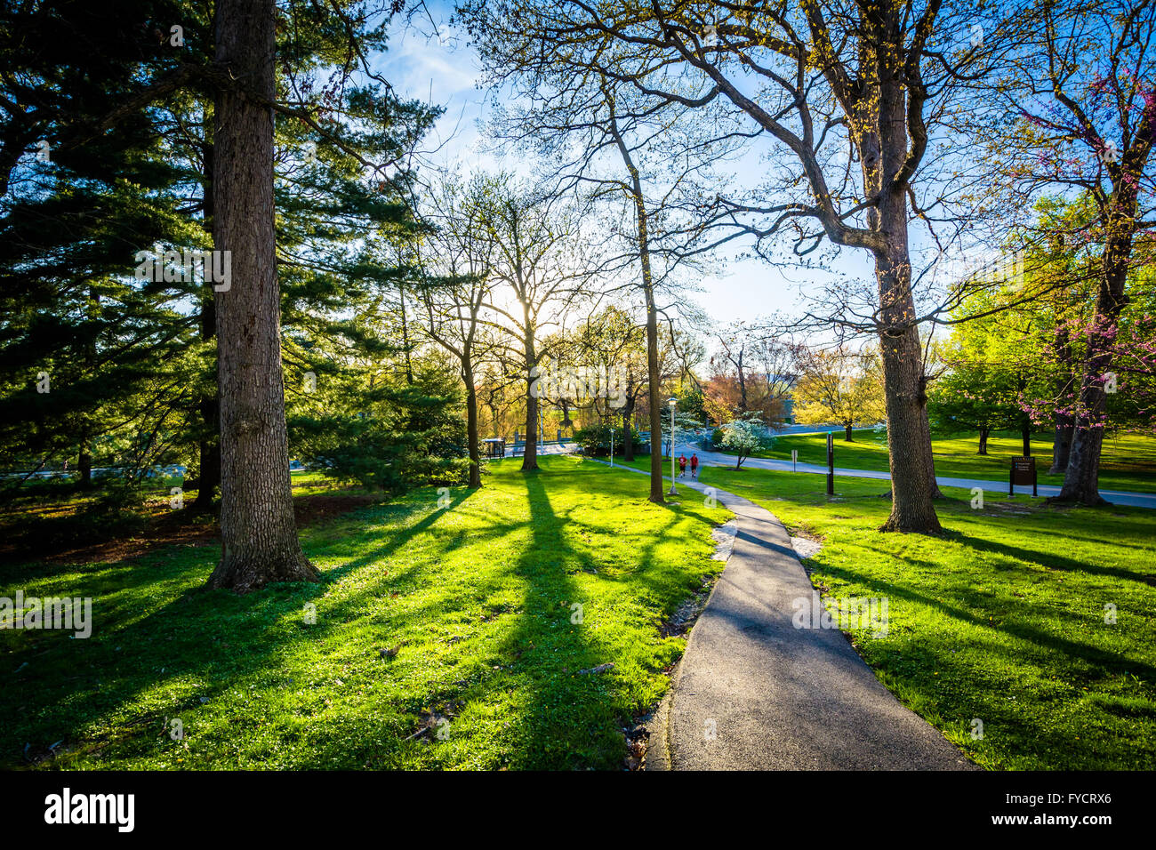 Spring color and walkway at Notre Dame of Maryland University, in ...