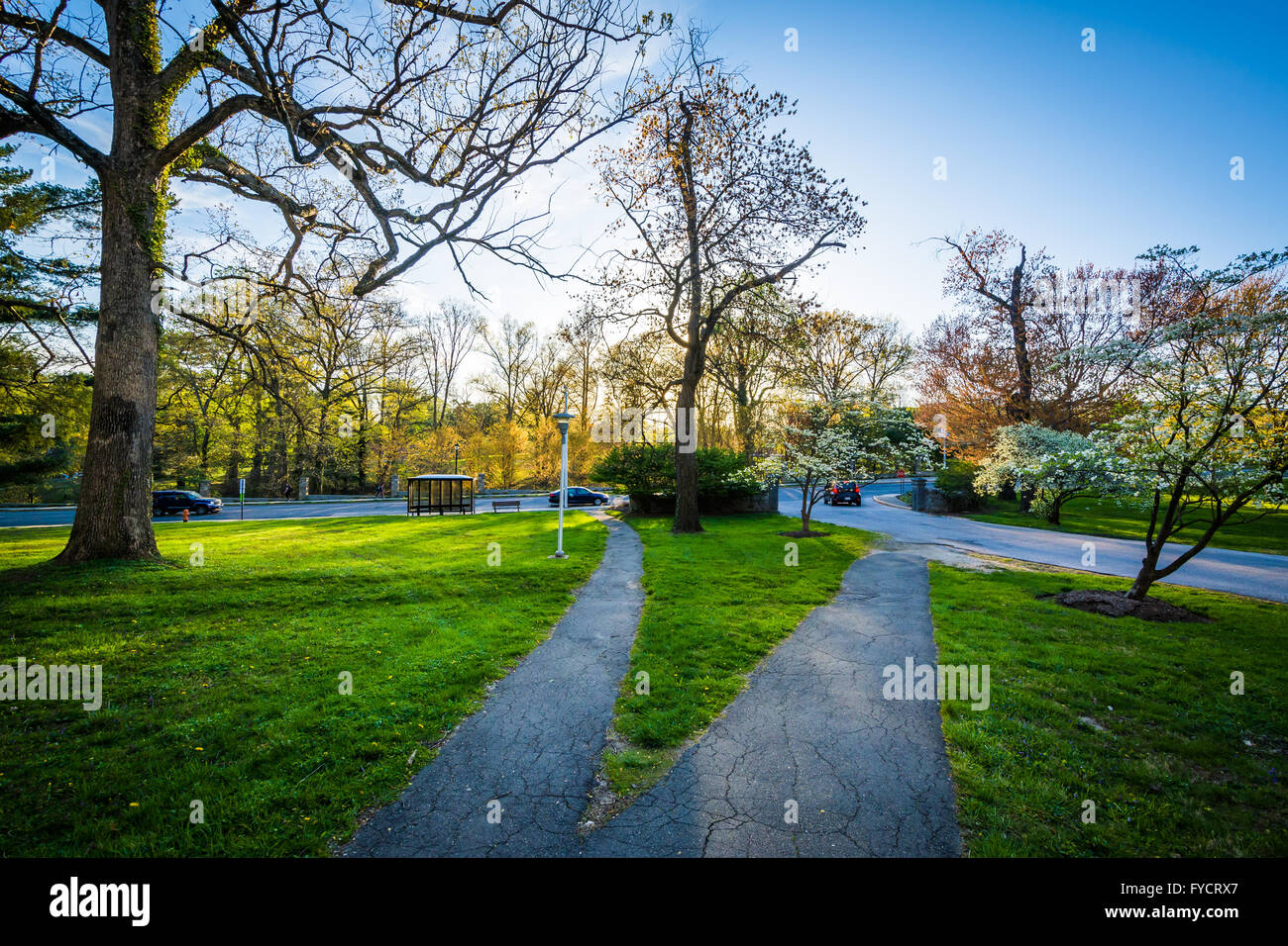 Spring color and walkway at Notre Dame of Maryland University, in ...
