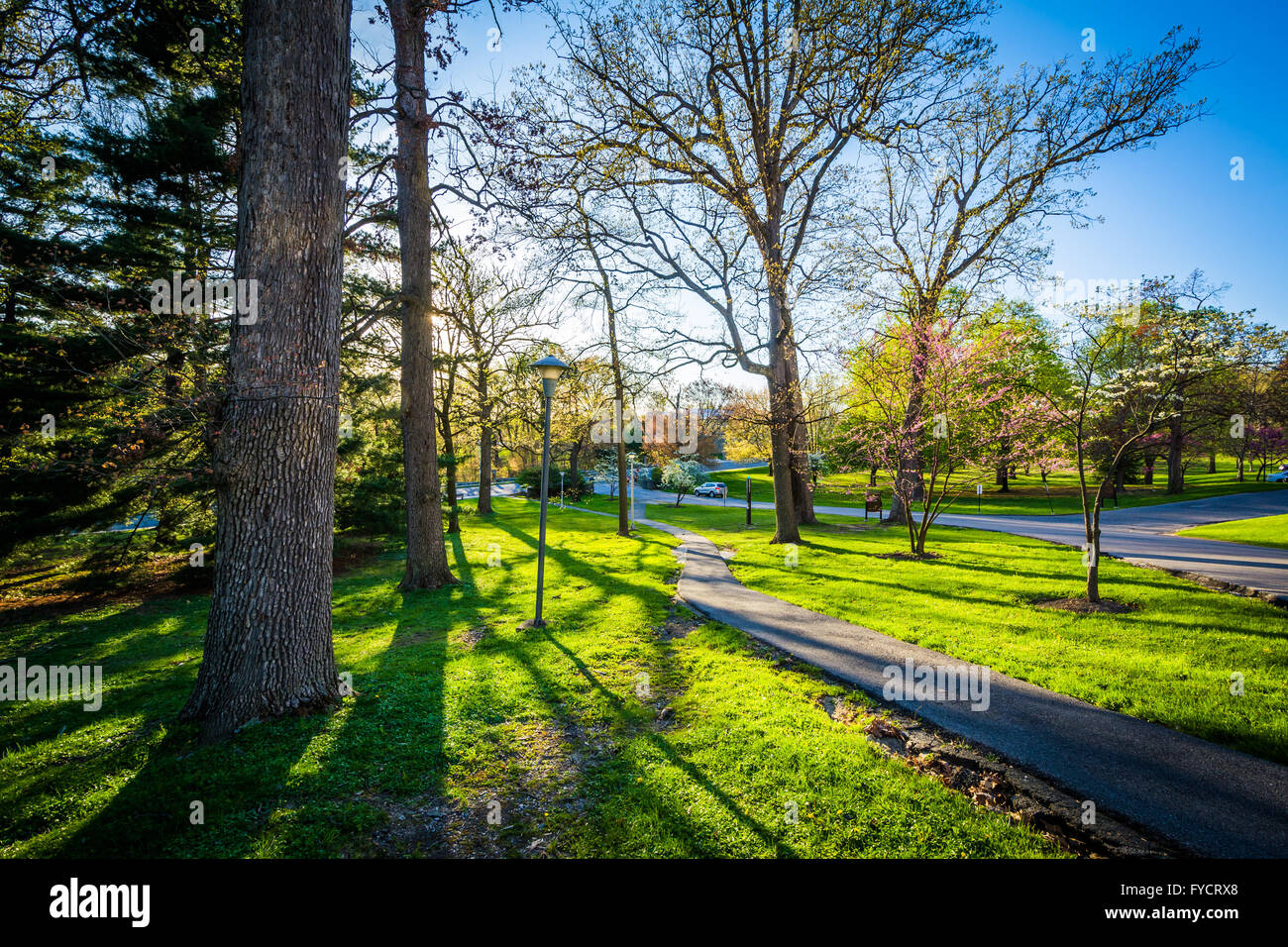 The most beautiful spring scenery hi-res stock photography and images ...