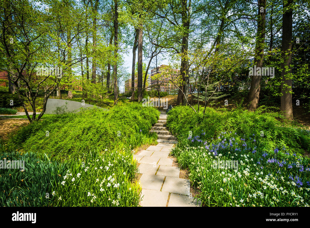 The Sculpture Garden at the Baltimore Museum of Art, in Baltimore ...