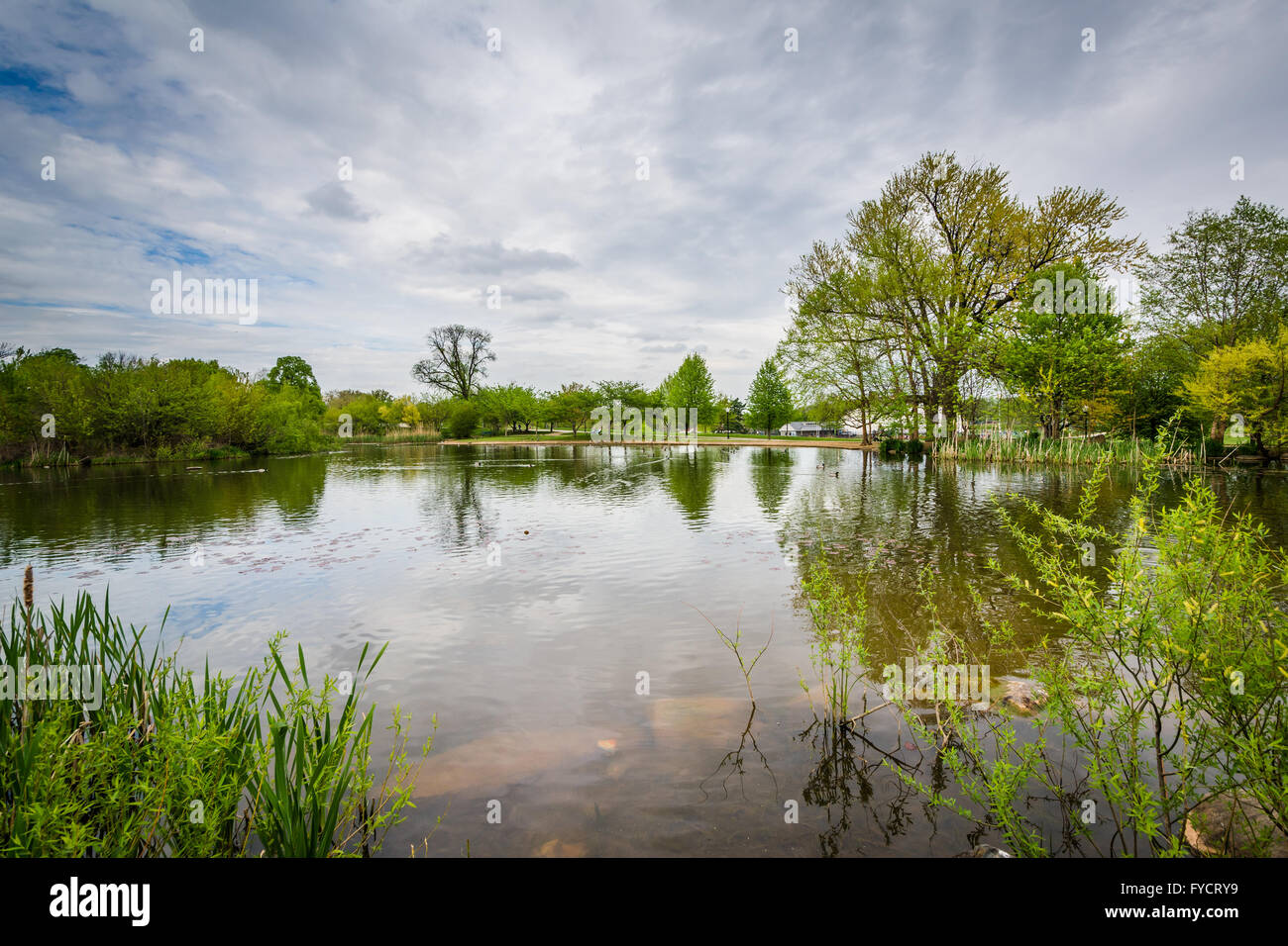 The lake at Patterson Park, in Baltimore, Maryland Stock Photo - Alamy
