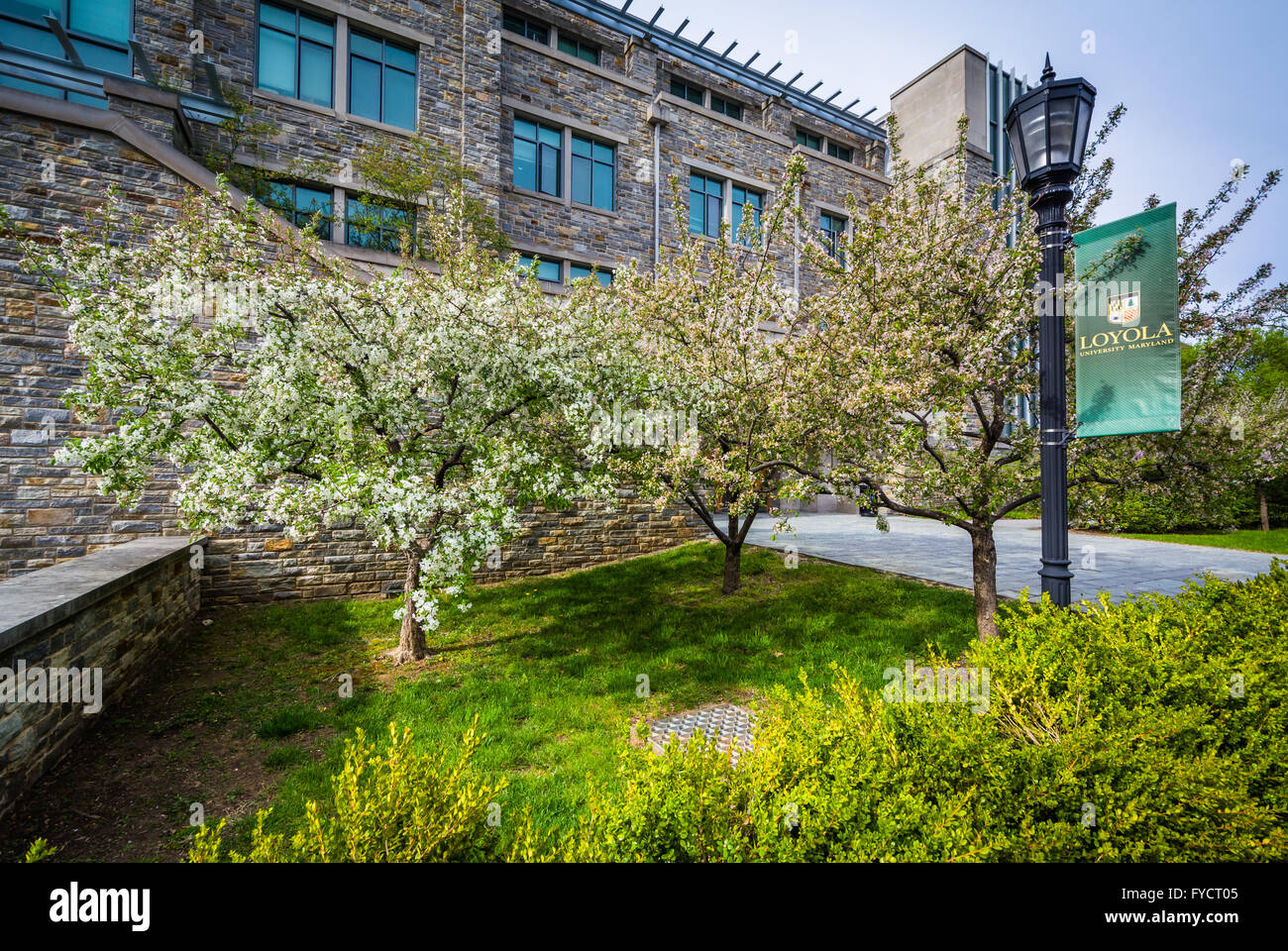 Trees and buildings at Loyola University Maryland, in Baltimore ...