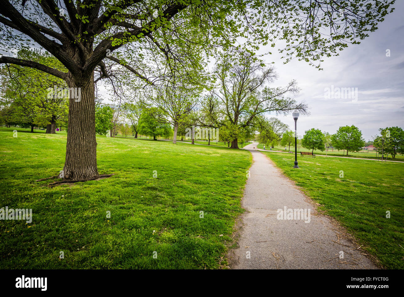 Trees garden pathway perspective hi-res stock photography and images ...