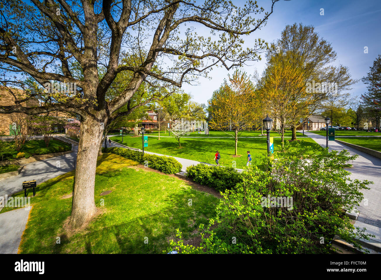 Trees and walkways at Loyola University Maryland, in Baltimore, Maryand ...