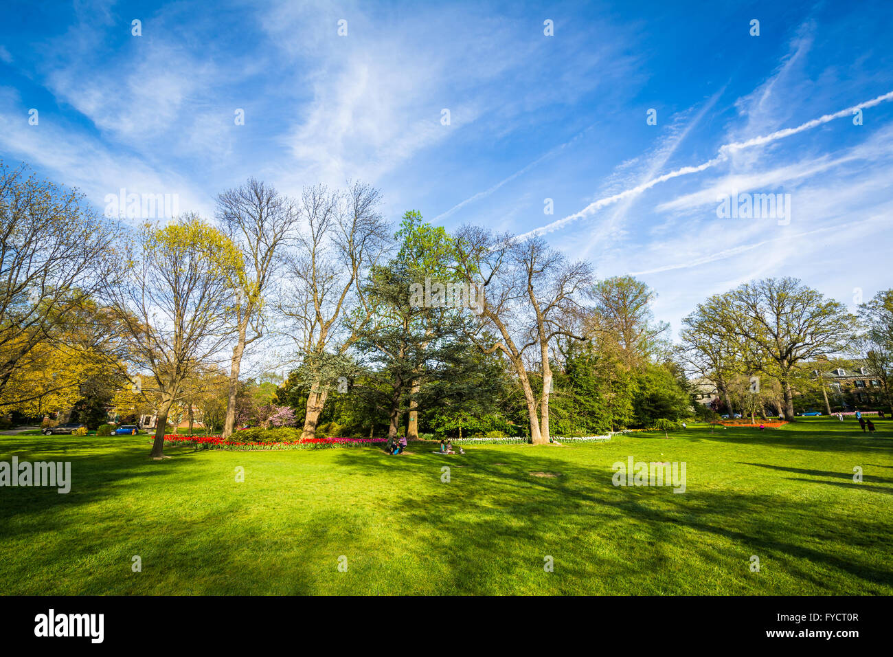 Trees at Sherwood Gardens Park, in Baltimore, Maryland Stock Photo - Alamy