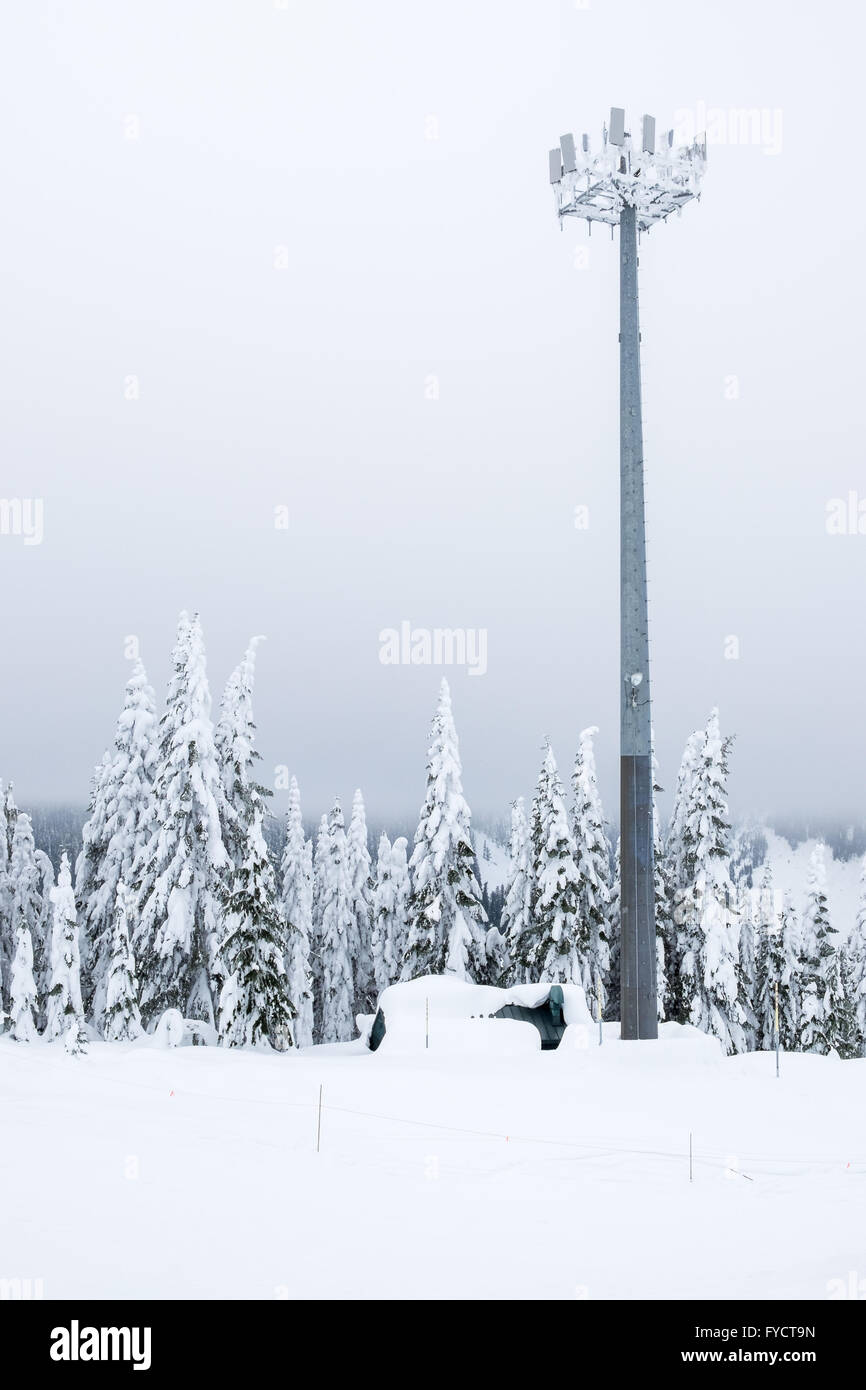Snow covered telecommunication towers in the winter Stock Photo - Alamy