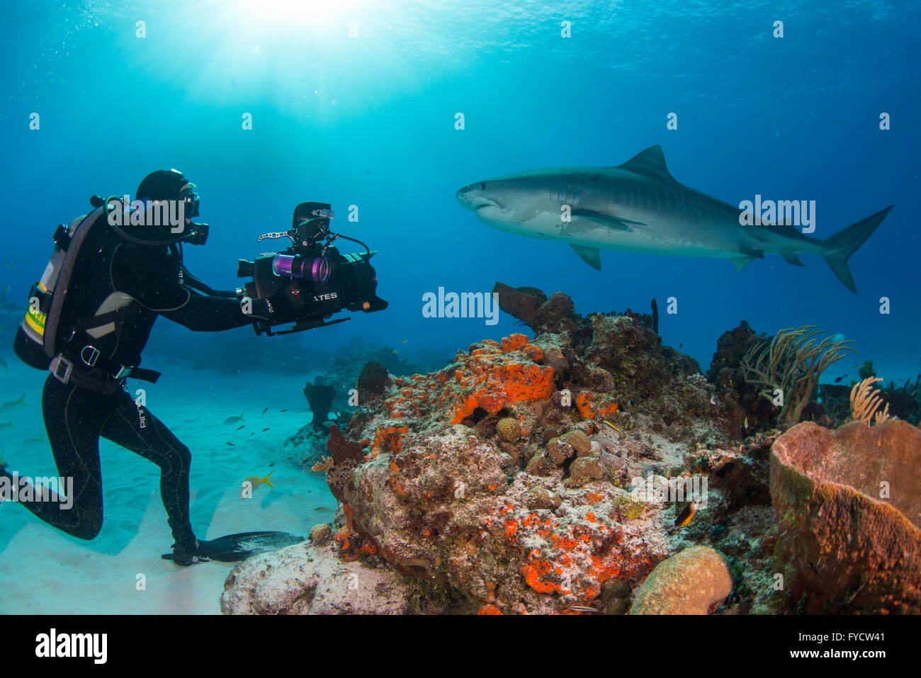 Single side gates hi-res stock photography and images - Alamy
