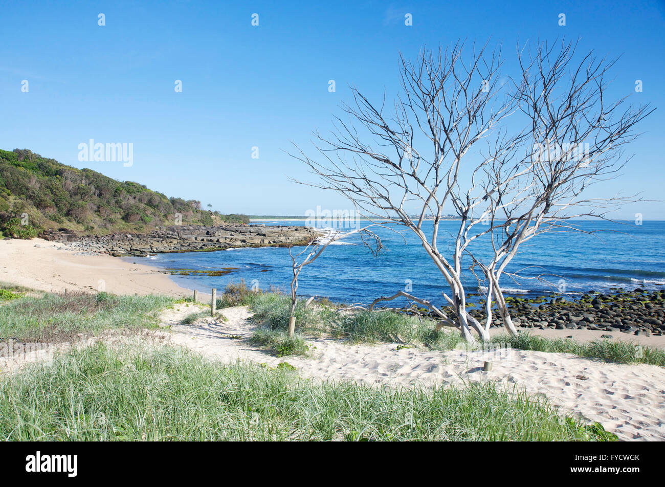 Angourie beach hi-res stock photography and images - Alamy