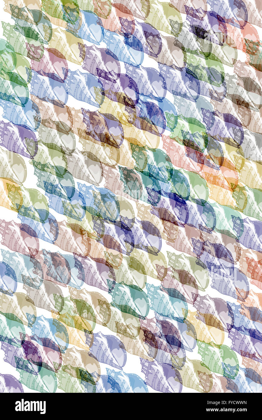 Repeat pattern sea shells hi-res stock photography and images - Alamy