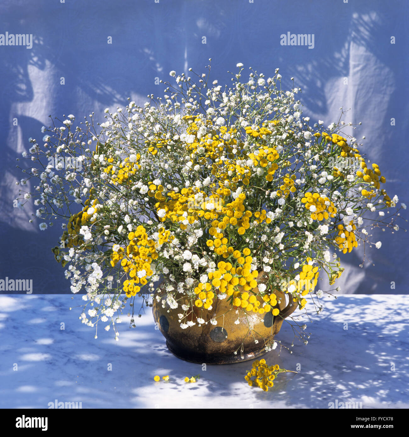 Gypsophil hi-res stock photography and images - Alamy