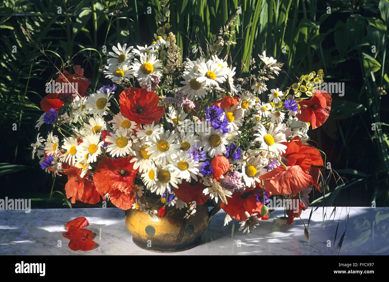 Field arrangement hi-res stock photography and images - Alamy