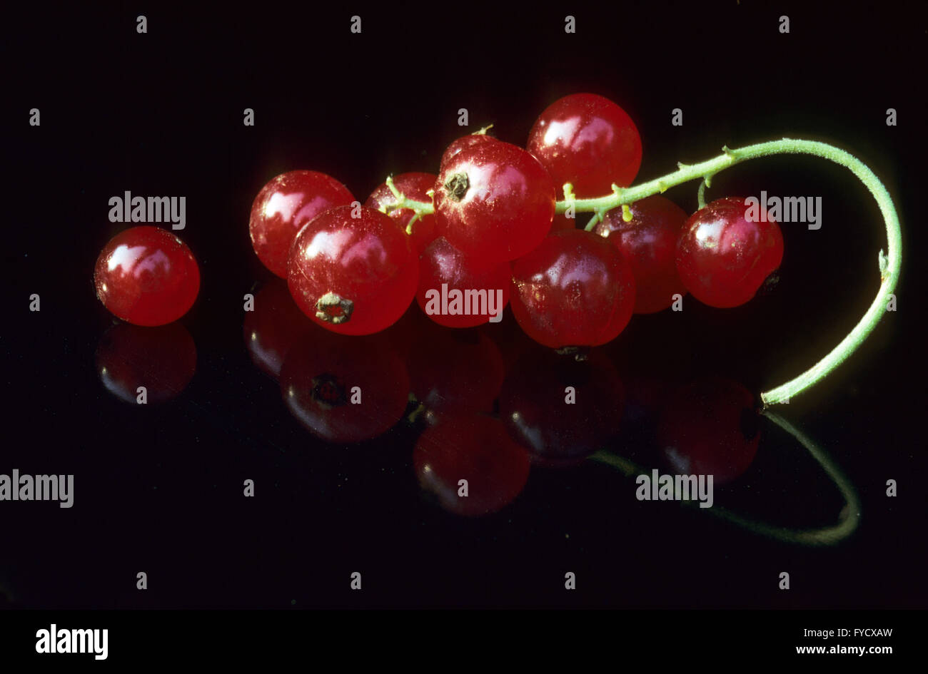 Obstart hi-res stock photography and images - Alamy