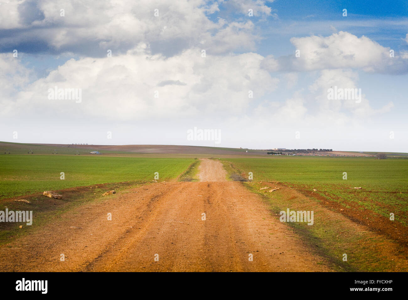 Path across field wheat hi-res stock photography and images - Alamy