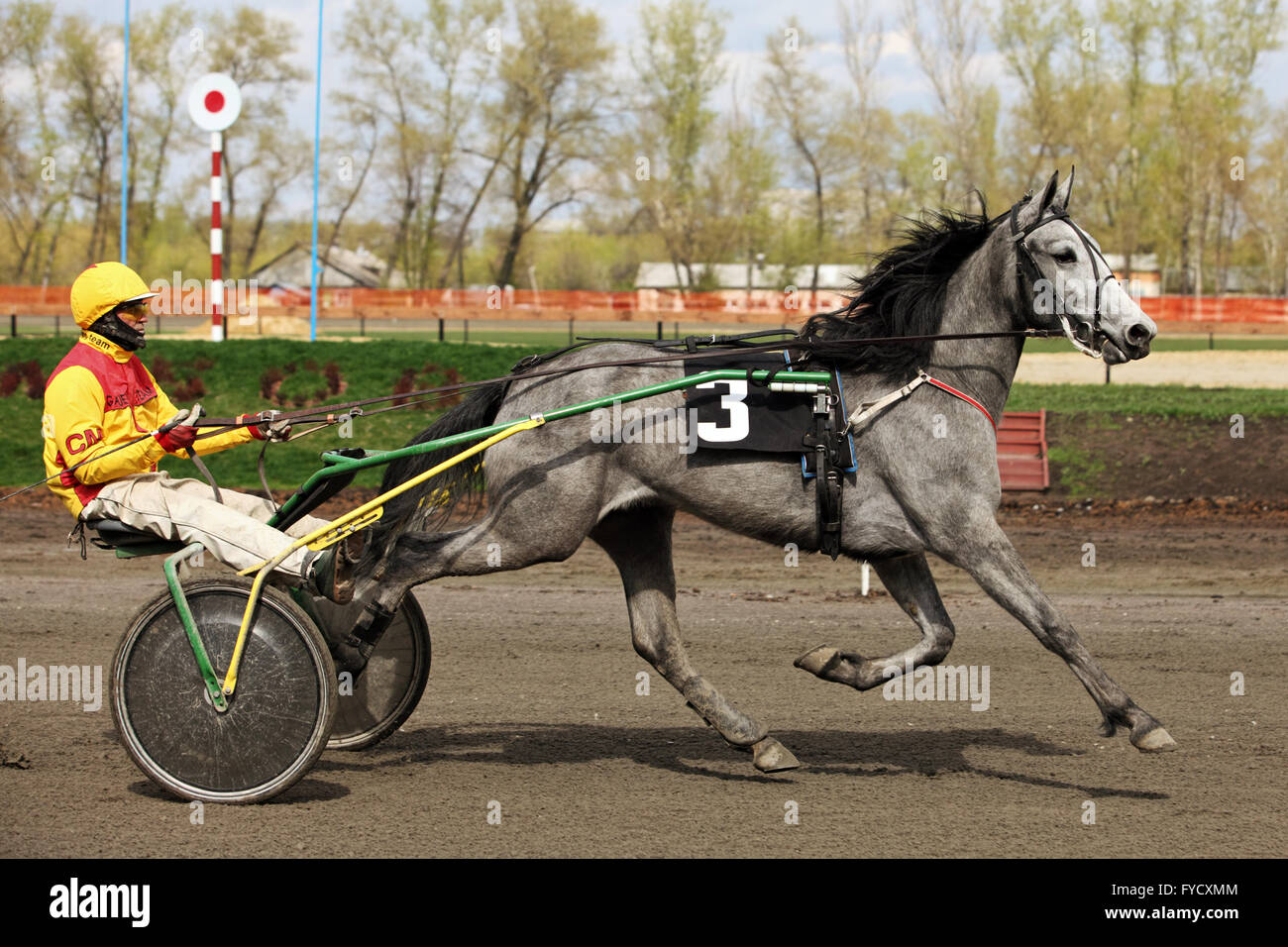 Horse cart race hi-res stock photography and images - Alamy