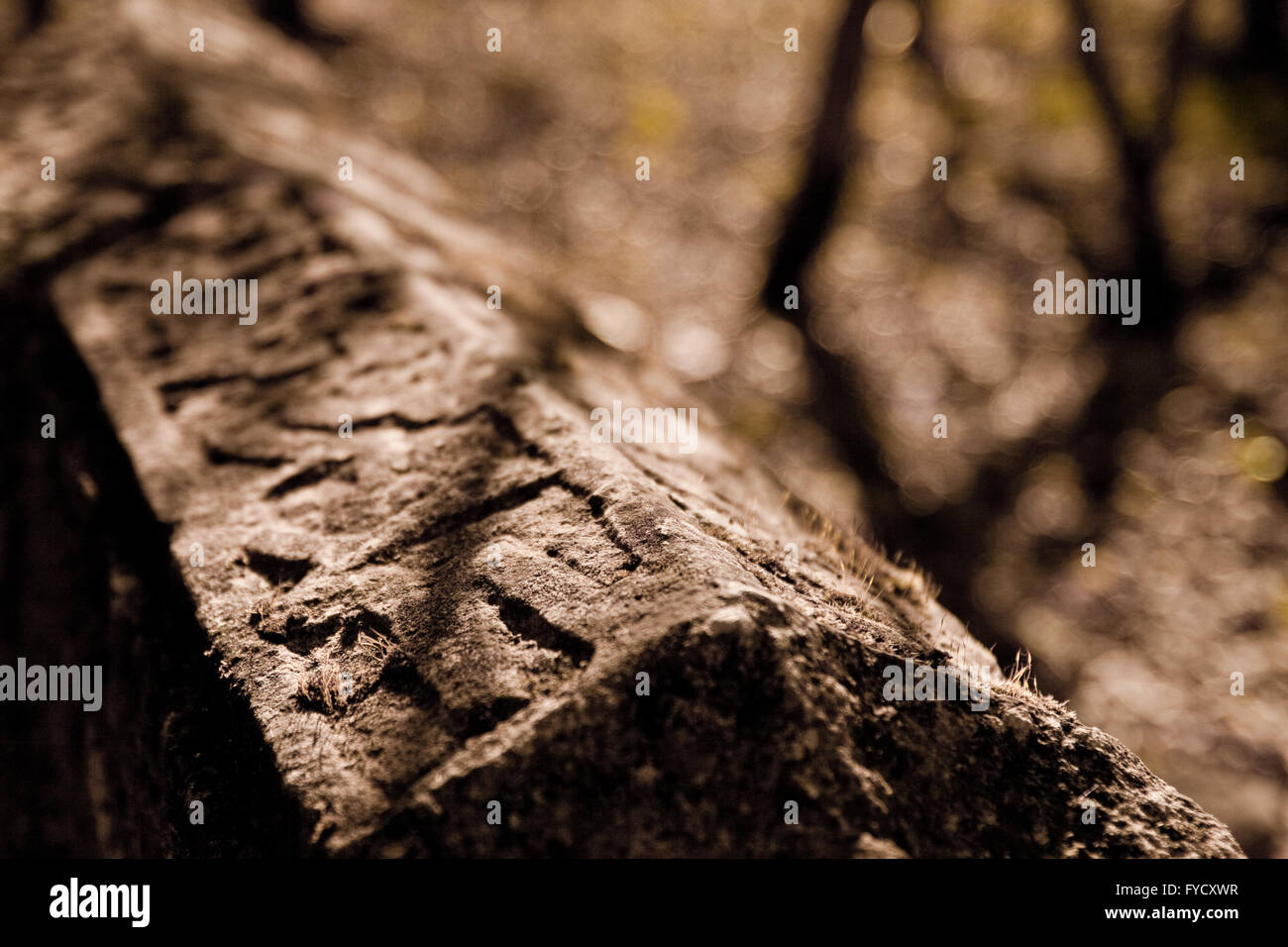 Old arabic script hi-res stock photography and images - Alamy