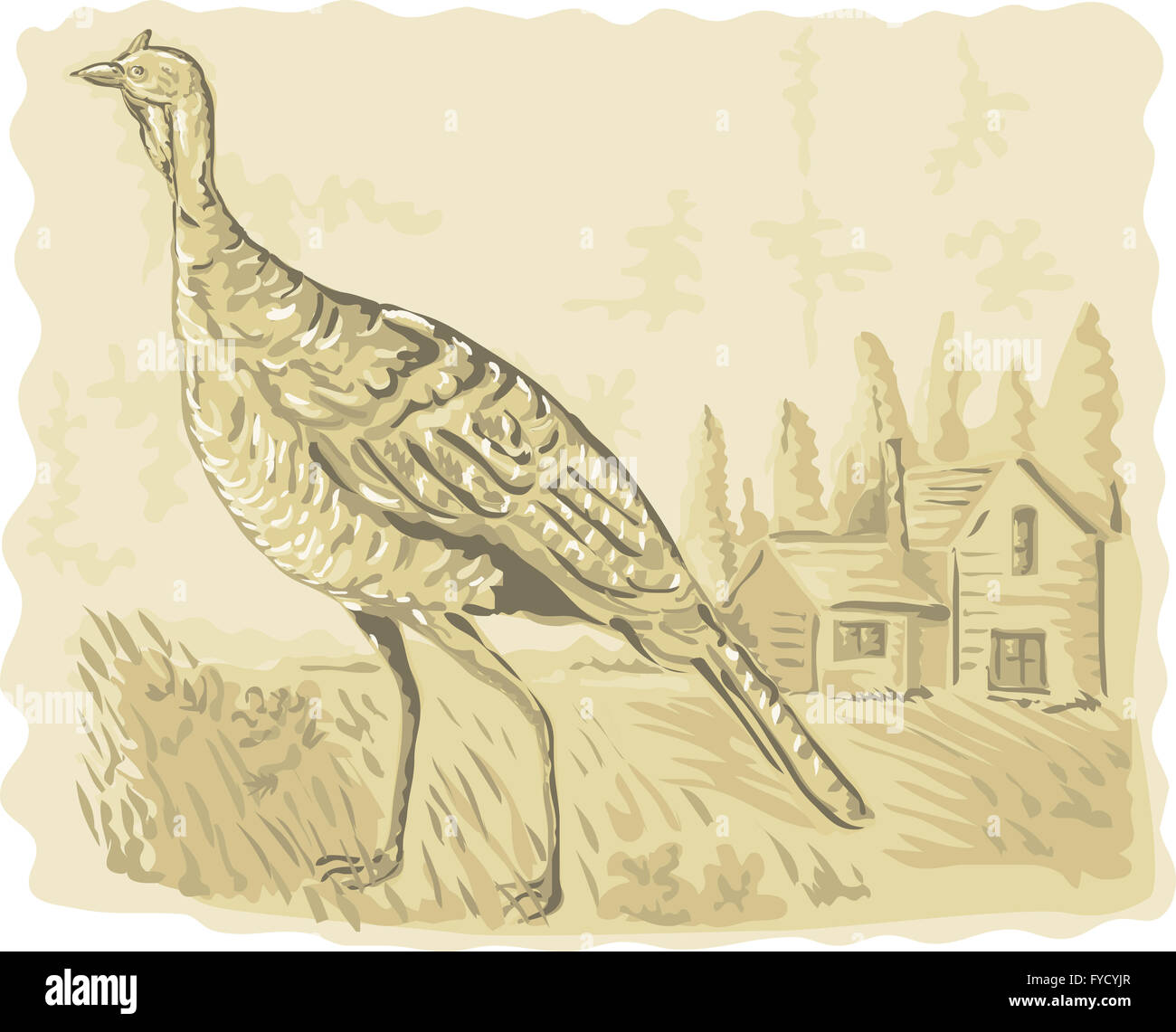 Illustration wild turkey side view hi-res stock photography and images ...