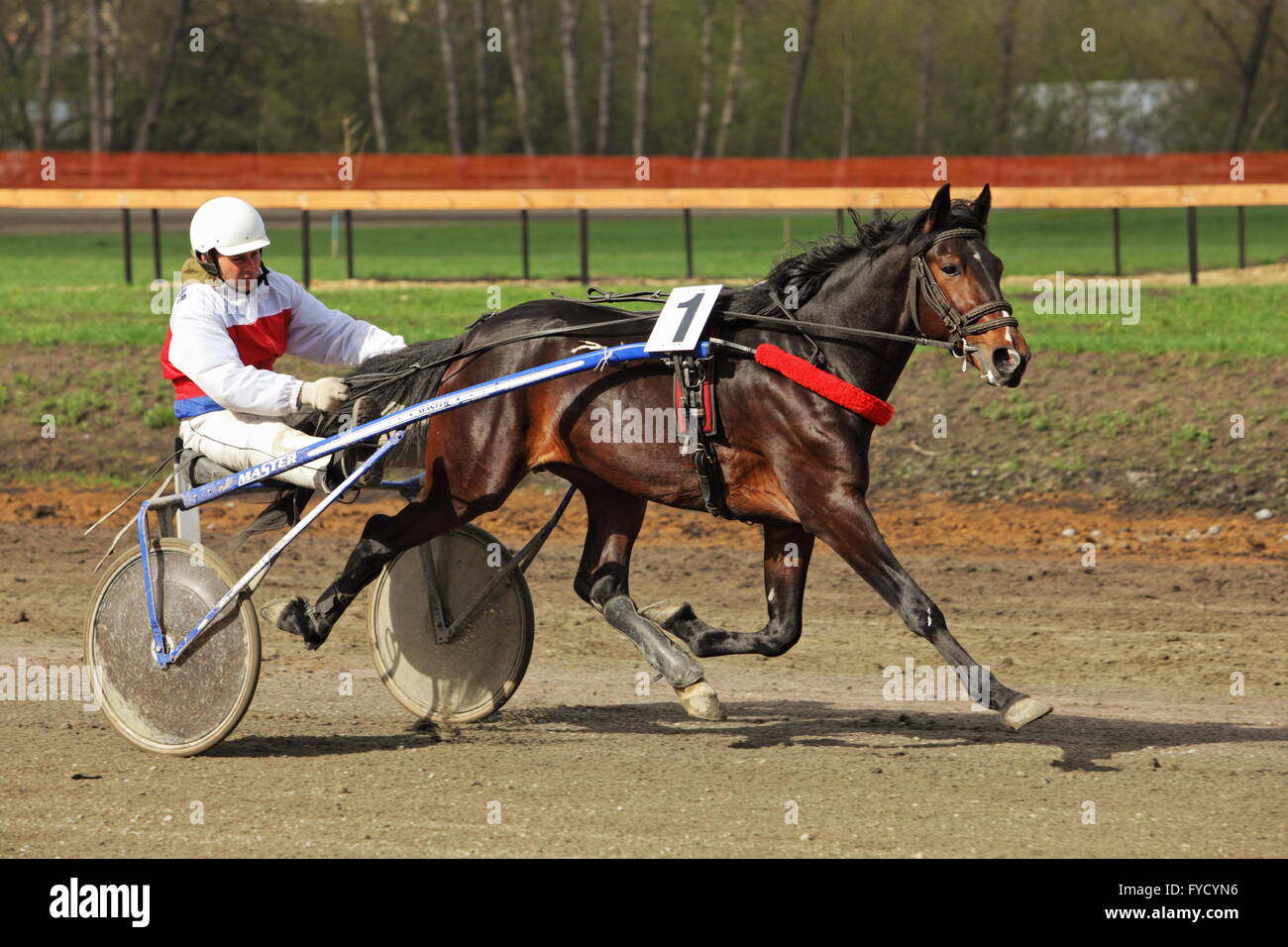 Harness trotter horse racing event Stock Photo - Alamy