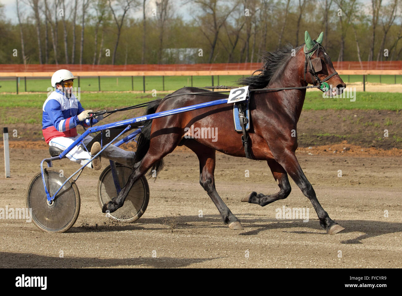 Harness racing driver hi-res stock photography and images - Alamy