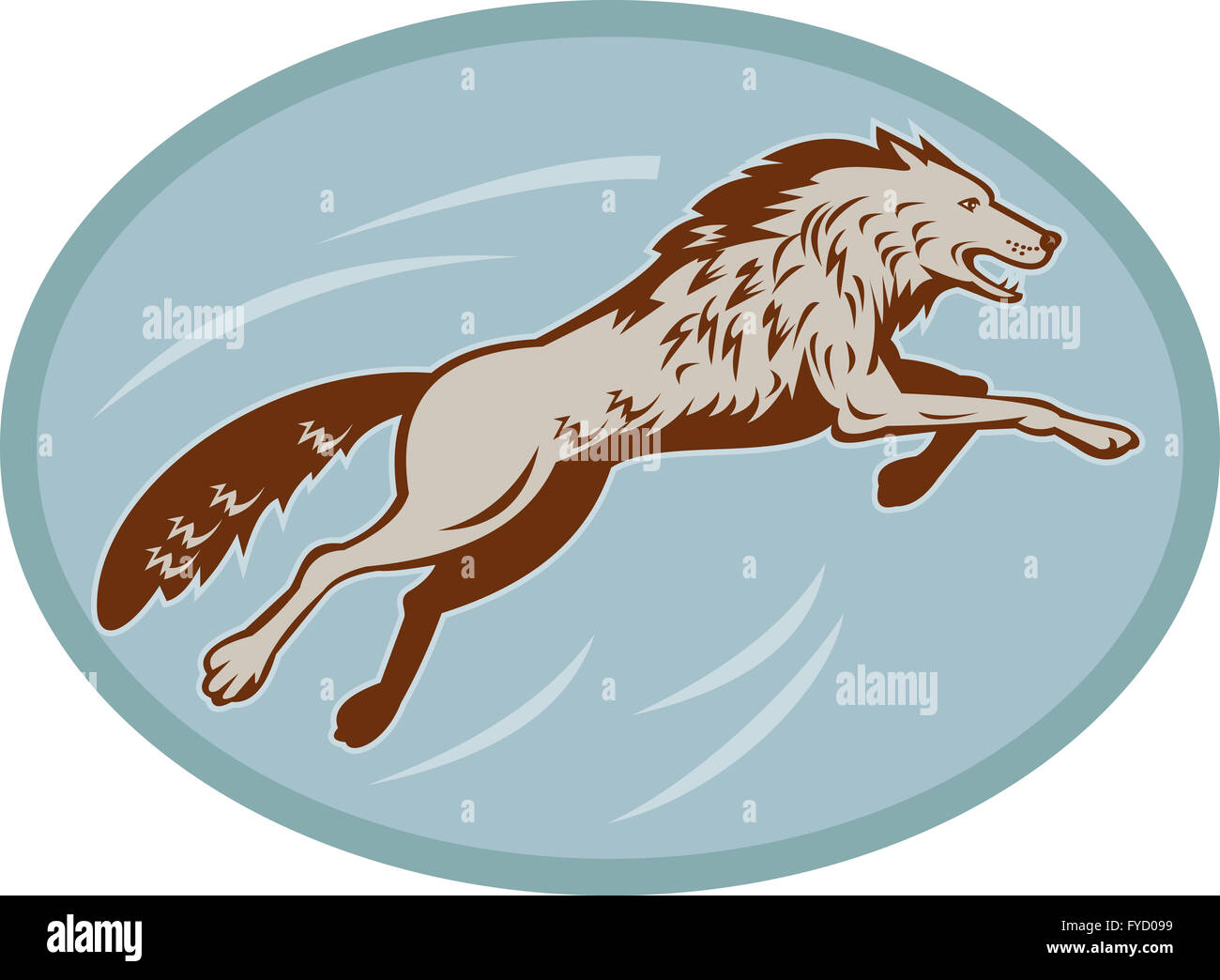 Gray wolf jumping and attacking Stock Photo - Alamy