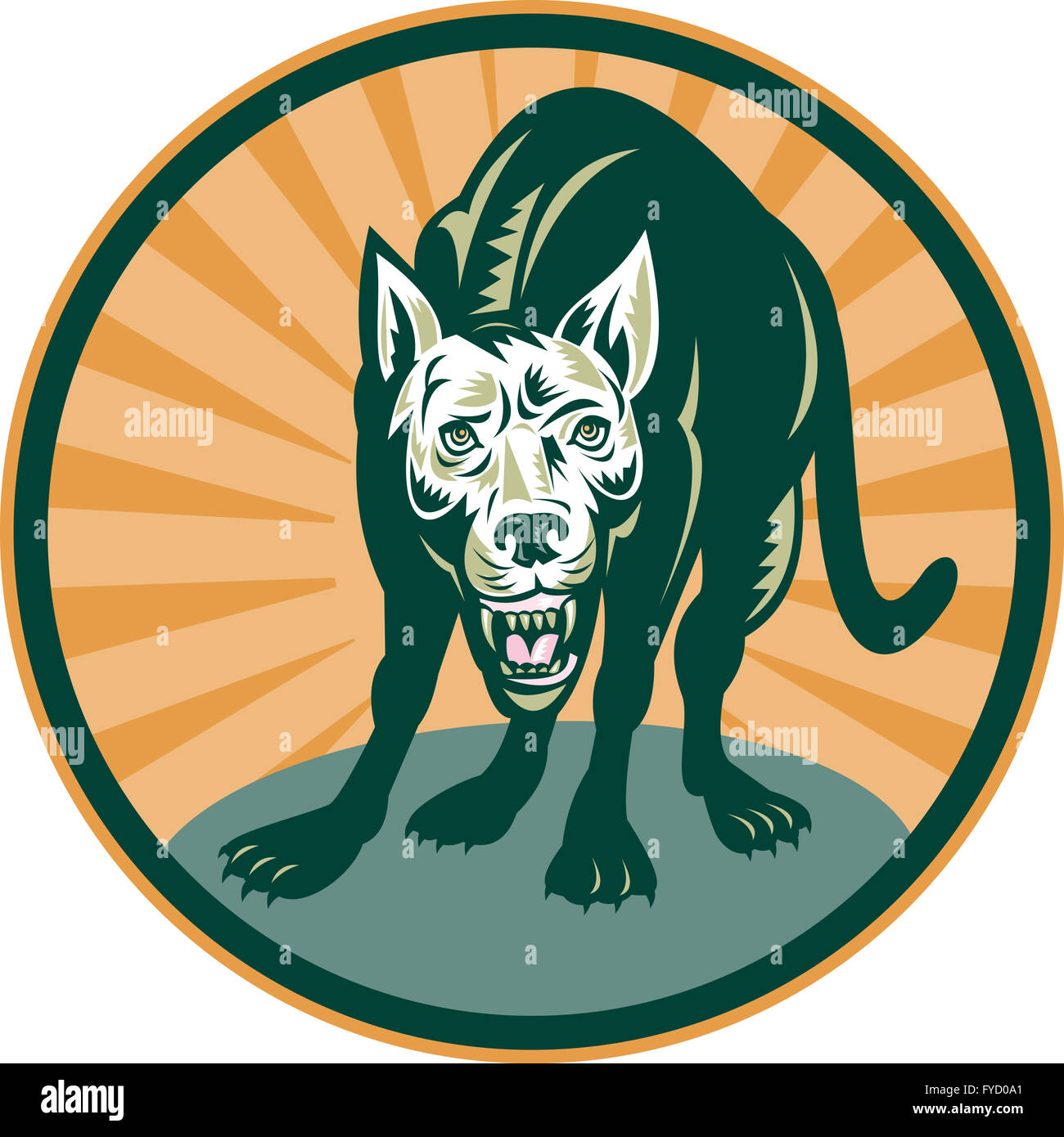 angry dog growling at you Stock Photo - Alamy