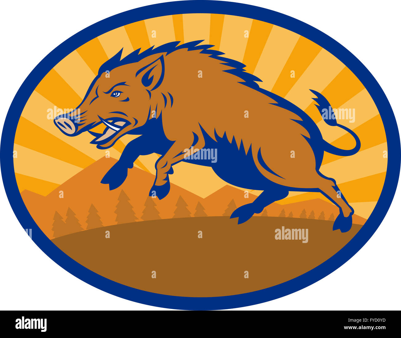 Wild Boar Pig Razorback Hog attacking Stock Photo - Alamy