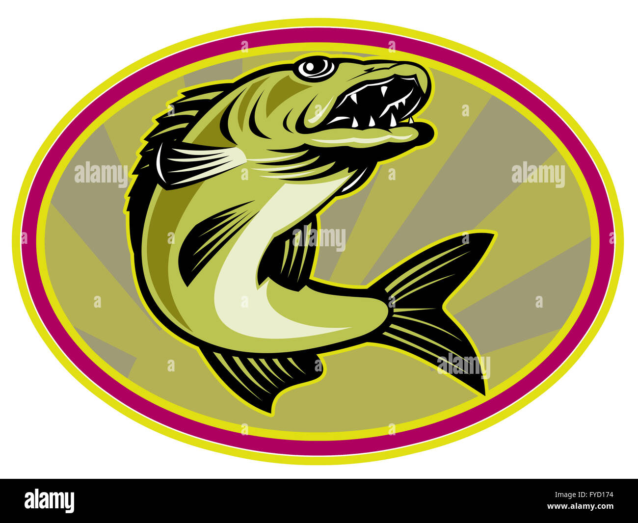 walleye fish jumping Stock Photo - Alamy