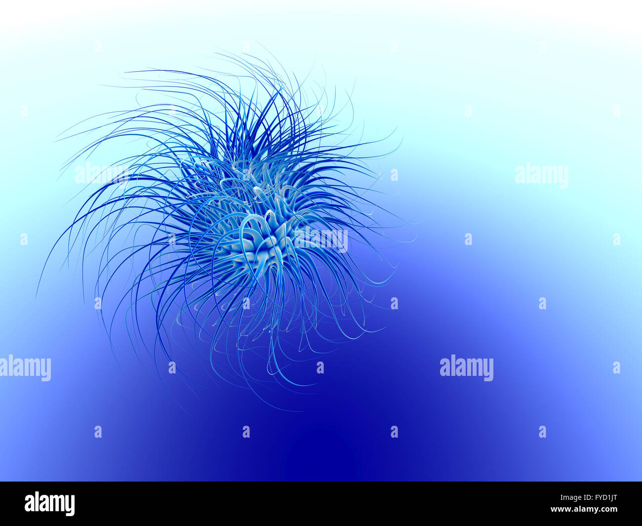 Masuri hi-res stock photography and images - Alamy